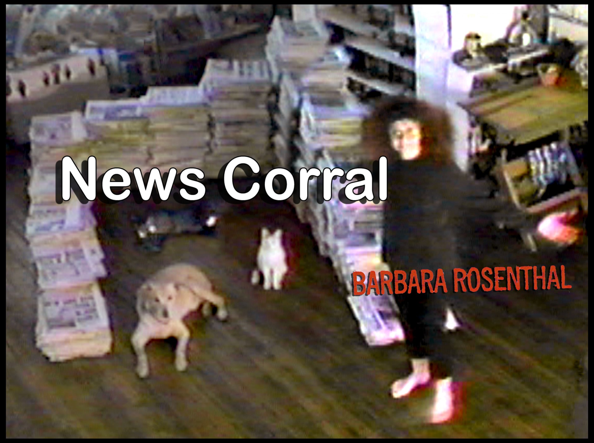 News Corral - Barbara Rosenthal - The Film-Makers' Cooperative