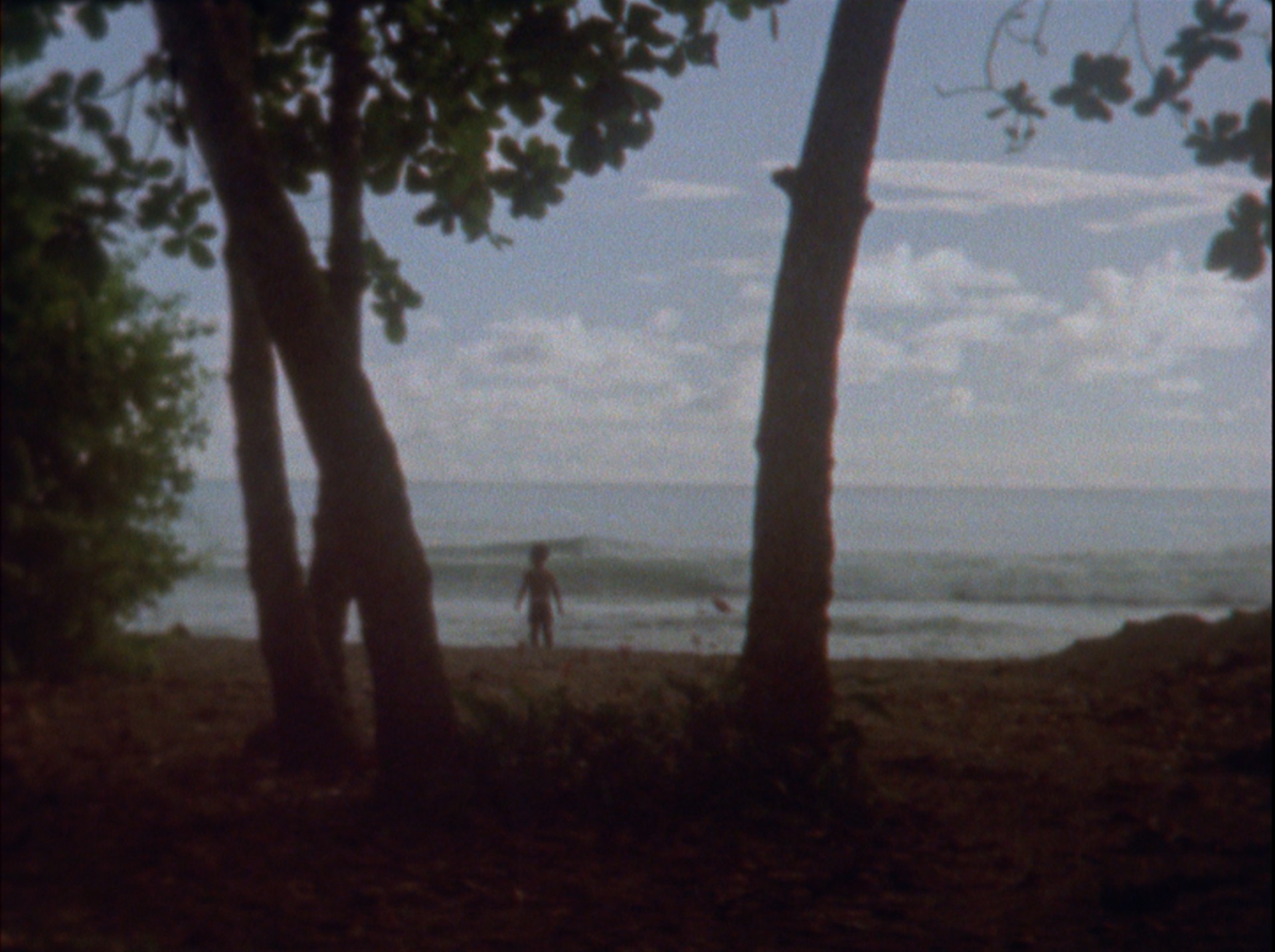 Costa Rica - Zak Adams - The Film-Makers' Cooperative