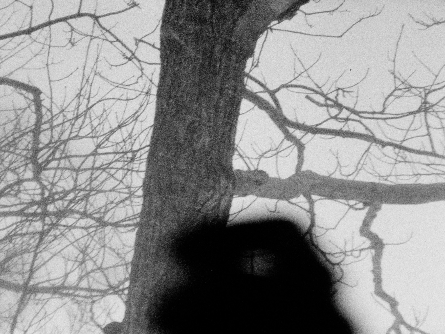 Mend - Vincent Grenier - The Film-Makers' Cooperative