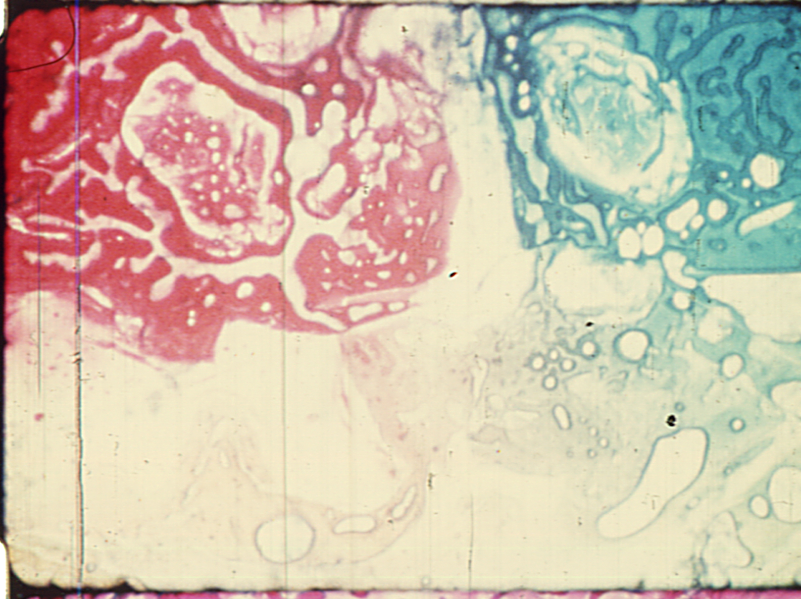 Mainstream - Jerry Abrams - The Film-Makers' Cooperative