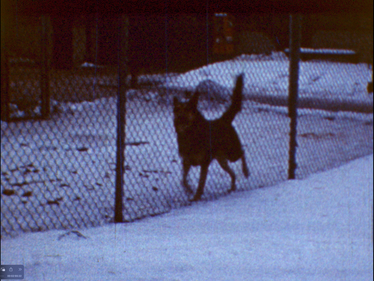 Film Diary #4—Cemetery - Dominic Angerame - The Film-Makers' Cooperative